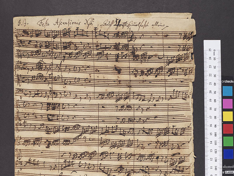 The Bodleian Libraries to acquire rare manuscript treasure in the hand ...